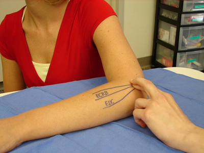 Rehabilitation Therapy Services